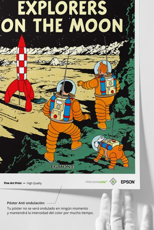 Cuadro Poster Tintin Explorers On The Moon