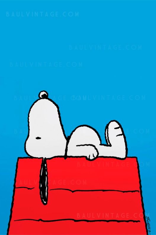 Cuadro Snoopy | BAÚL VINTAGE POSTERS